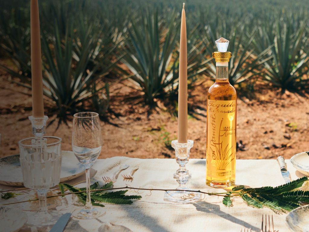 Kit NH Tequila Don Ramón Reposado Punta Diamante 750 ml – Nadia Hussain
